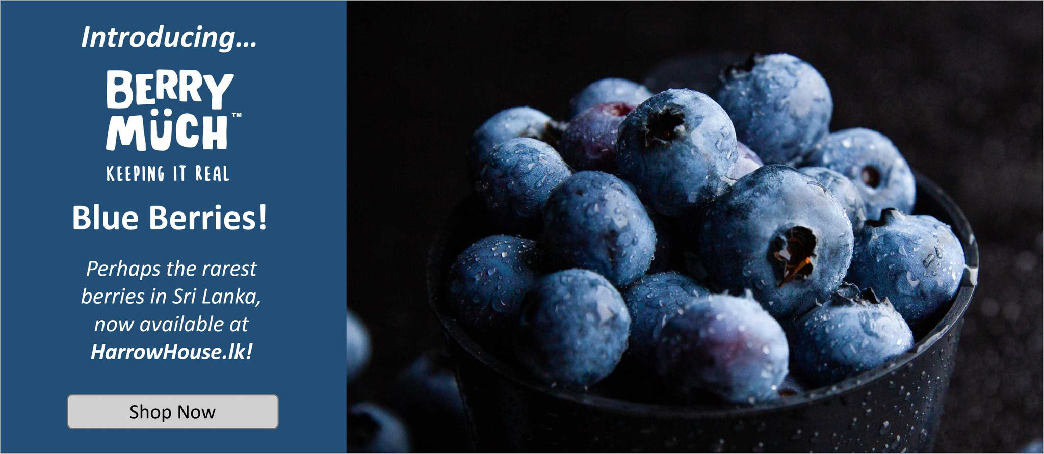 harrowhouse.lk - Your Gourmet Food Store